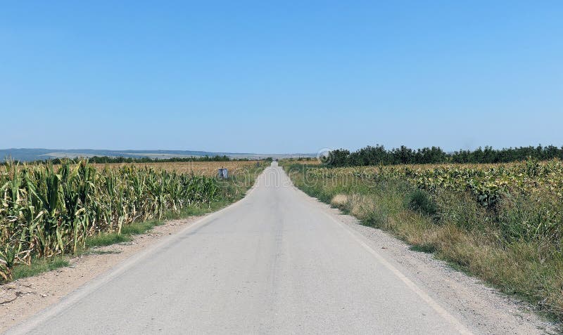 Empty rural road with sky stock photo. Image of landscape - 196442910