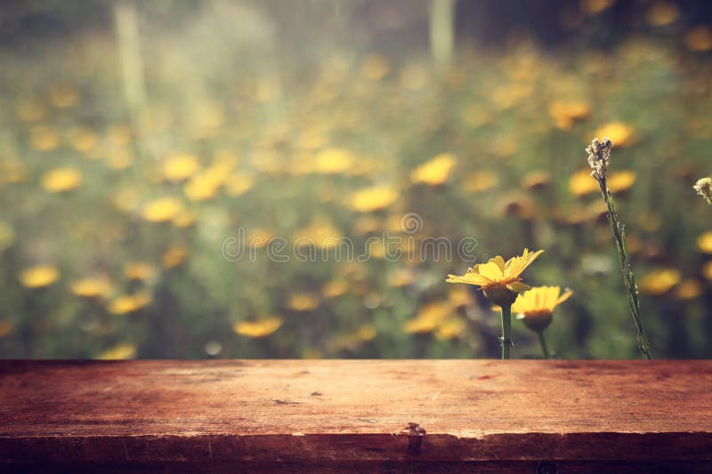 Empty Rustic Table in Front of Countryside Background. Product Display ...