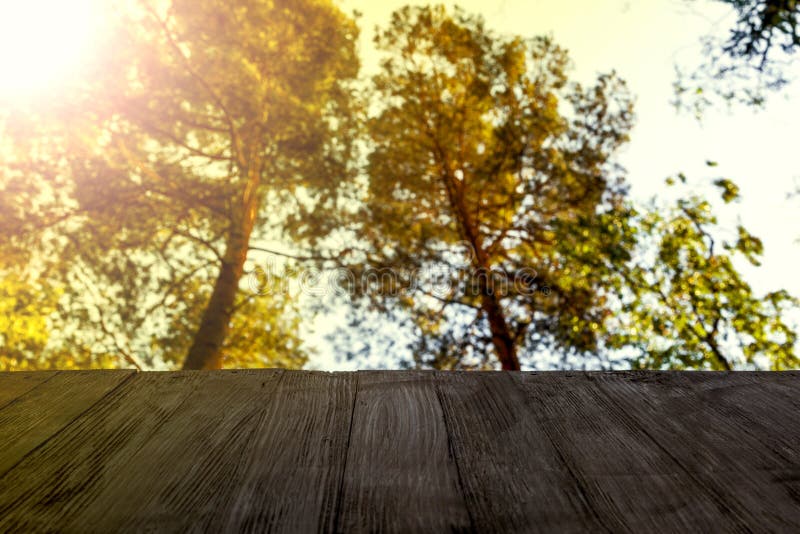 Treetops on a Background of Blue Sky Swaying in the Wind. Crowns in ...