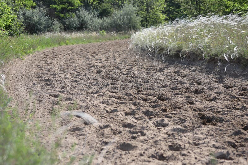 Empty Sandy Gallop Track is a Good Addition Stock Photo - Image of ...