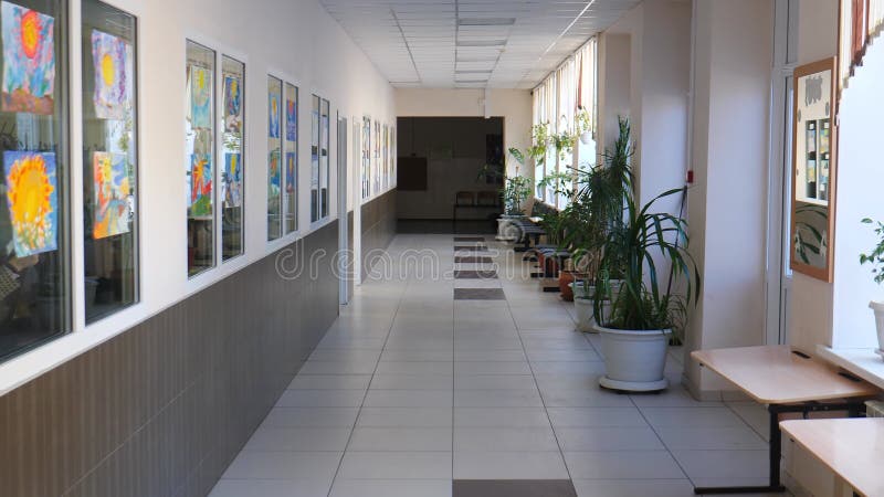 Empty School Corridor Inside with Large Windows and Flowers. Natural ...