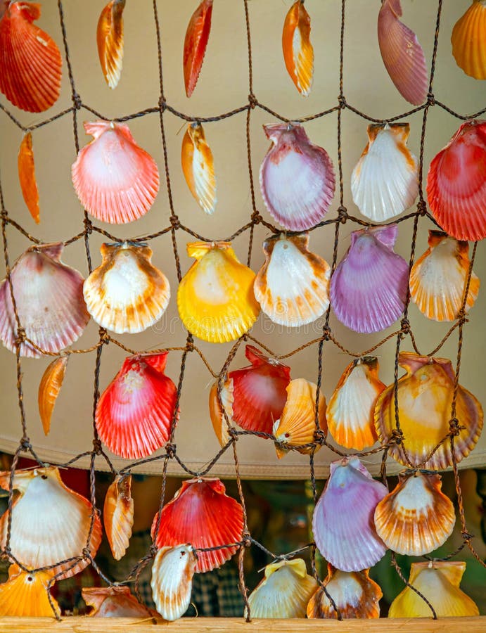 Empty sea shells on a wall stock image. Image of outdoors - 295715057