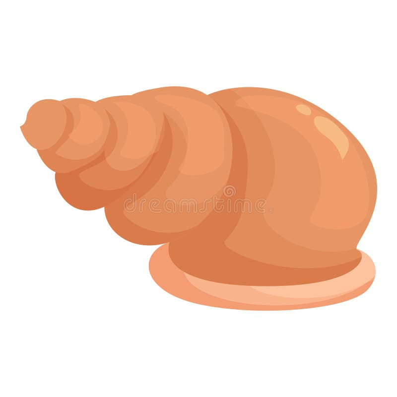 Empty Seashell Isolated on White Background Representing Summer ...