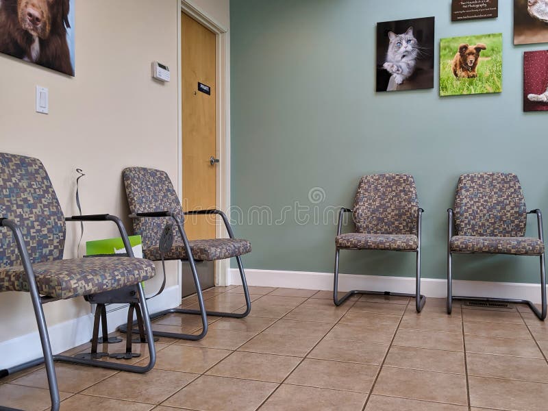 Empty Seating in the Waiting Room of a Veterinary Office Stock Photo ...