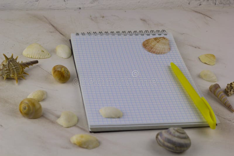 Empty Sheet, Pen and Sea Shells Stock Image - Image of inspiration ...