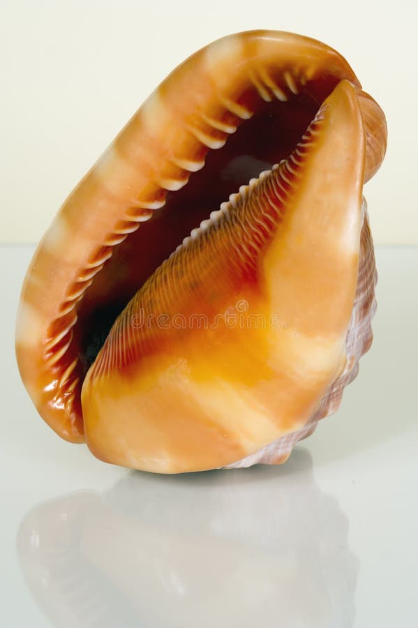 Empty Shell of an Old Stucco Building Stock Photo - Image of structure ...