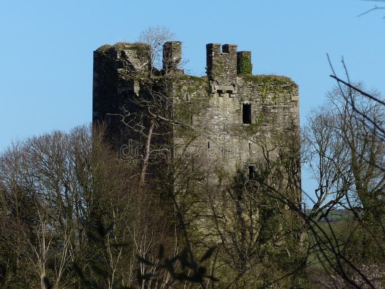 Empty Shell of a Castle Tower Ireland Surrounded by Tree Branches Stock ...