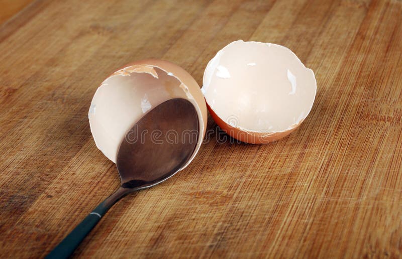 The empty shell of the egg stock image. Image of wood - 69793421