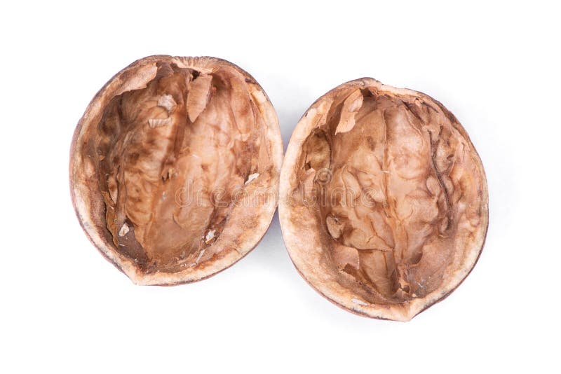 Empty walnut shells stock image. Image of empty, food - 175264257