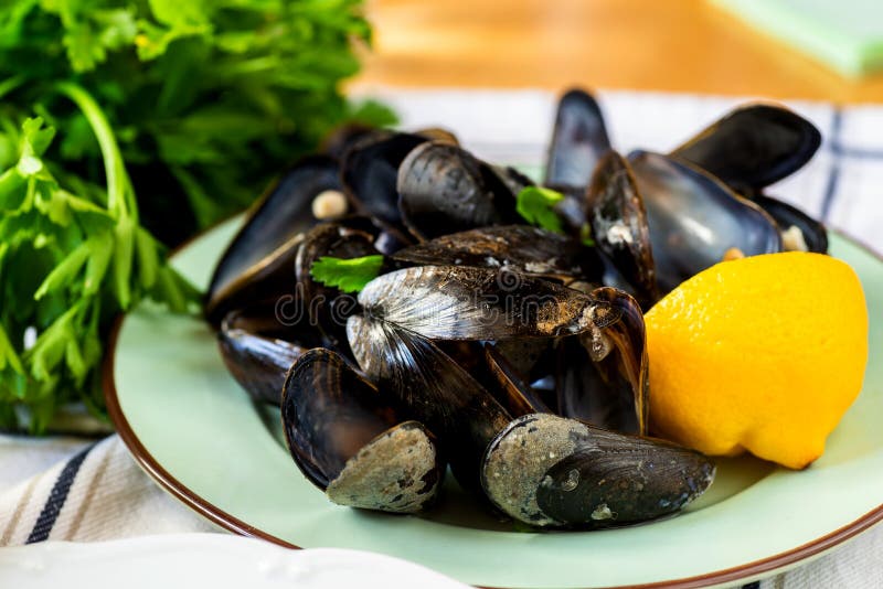 Empty Shells from Boiled Black Mussels on Plate Stock Photo - Image of ...