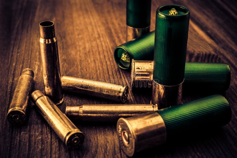 Empty Shells from the Rifle and 12 Gauge Bullets Lying Stock Image ...