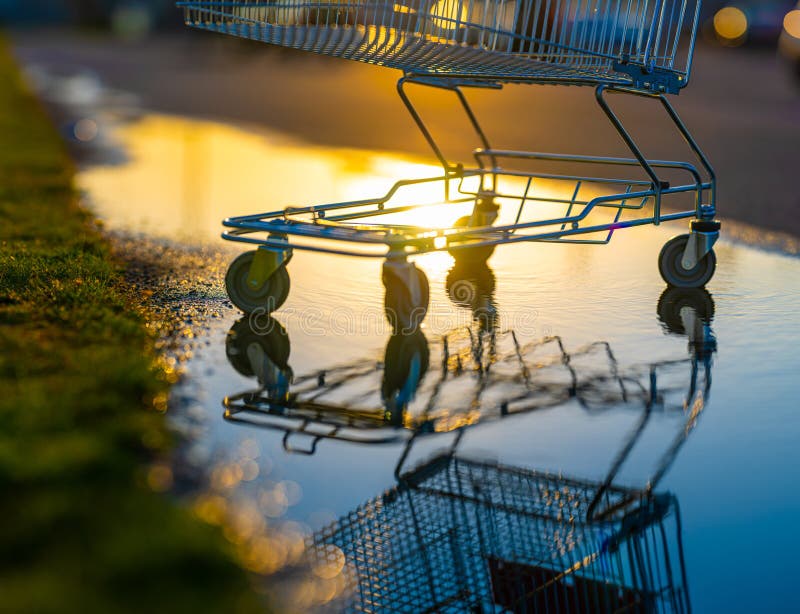 Empty Shopping Cart in Water in Sunset Light.. Stock Image - Image of ...