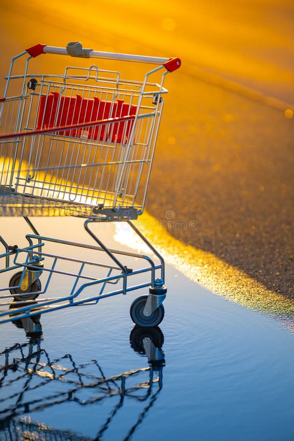 Empty Shopping Cart in Water in Sunset Light.. Stock Photo - Image of ...