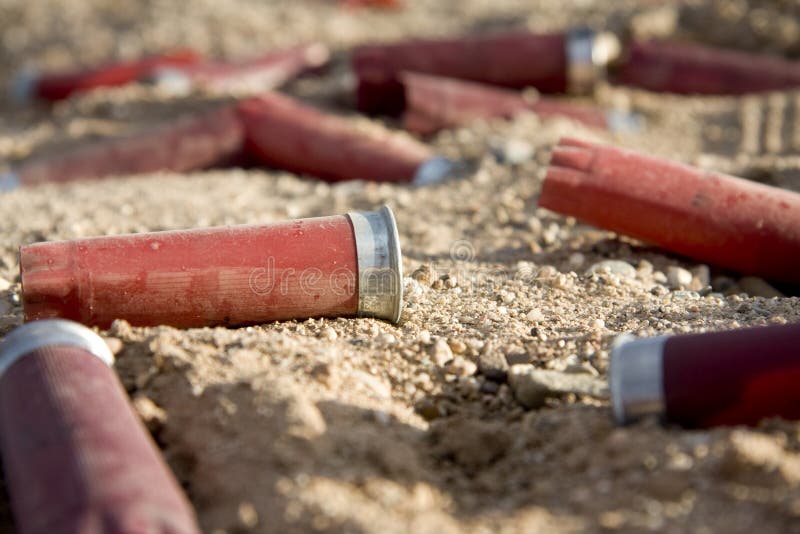Empty shot gun shells stock photo. Image of ground, litter - 11110930