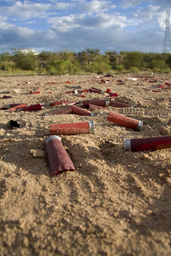 Empty shot gun shells stock photo. Image of ground, litter - 11110930