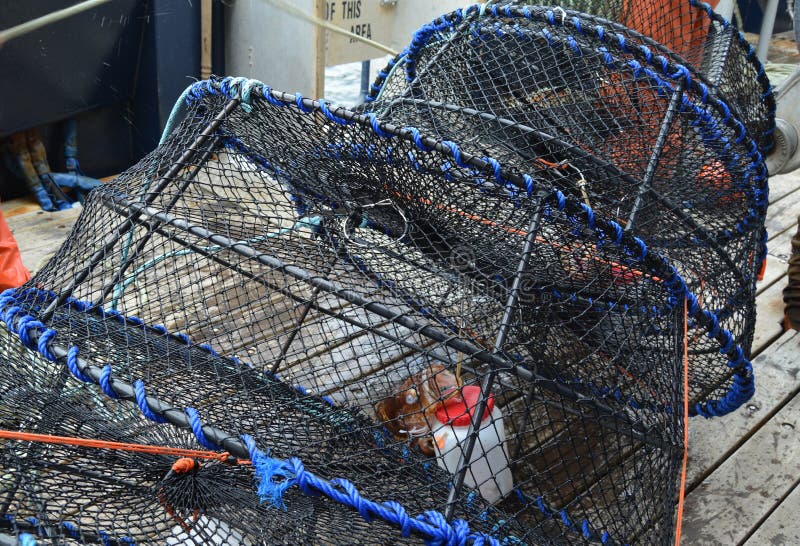 Empty Shrimp Pots Ready To Set Stock Image - Image of marine, cage ...
