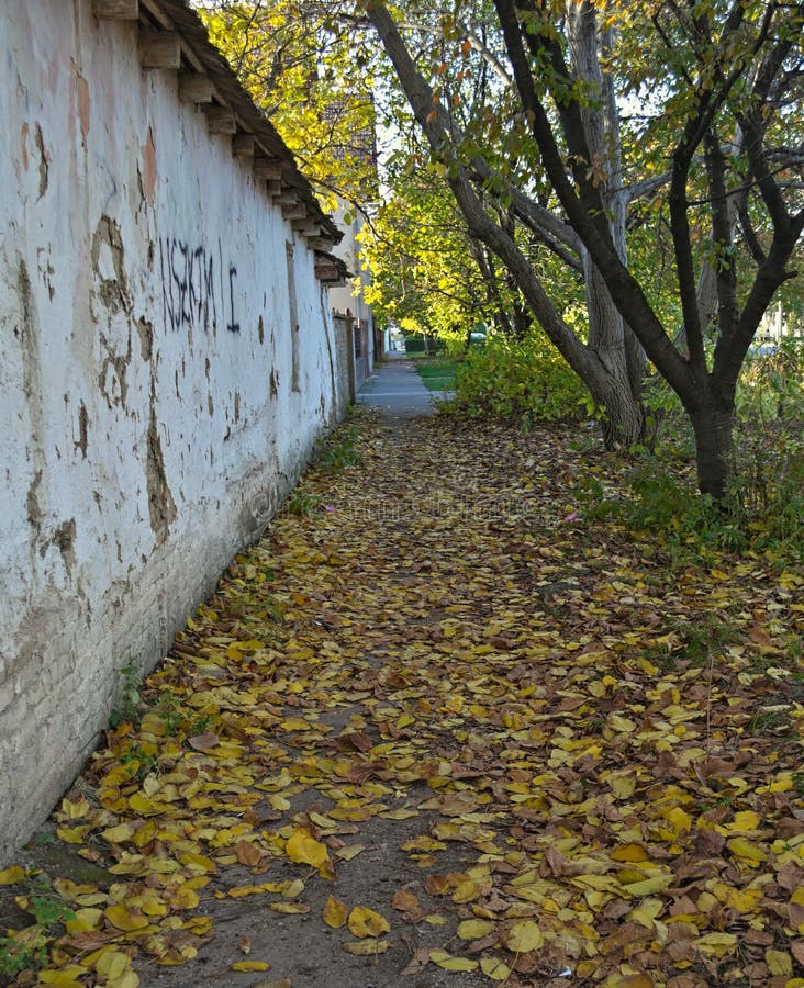 Empty Sidewalk with Fallen Leaves at Autumn Stock Photo - Image of fall ...