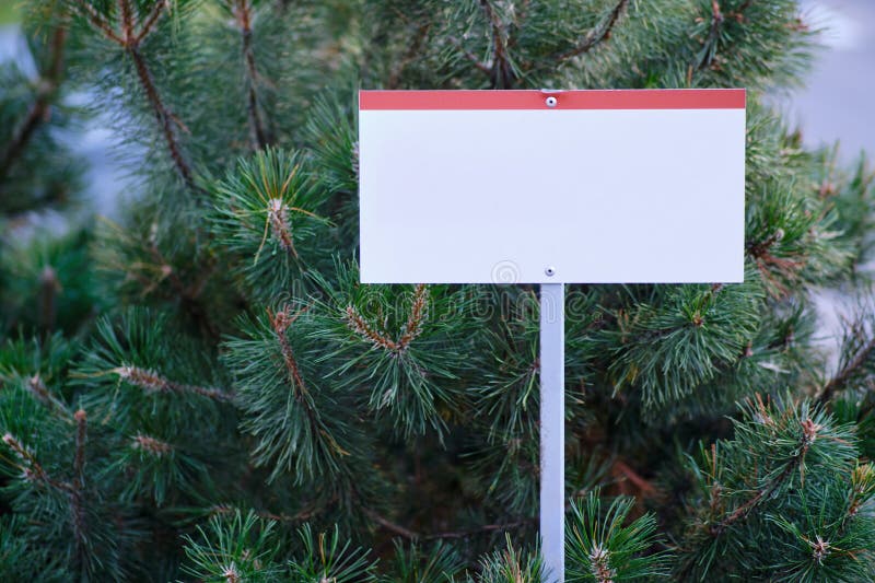 198 Wood Park Sign Mockup Stock Photos - Free & Royalty-Free Stock ...