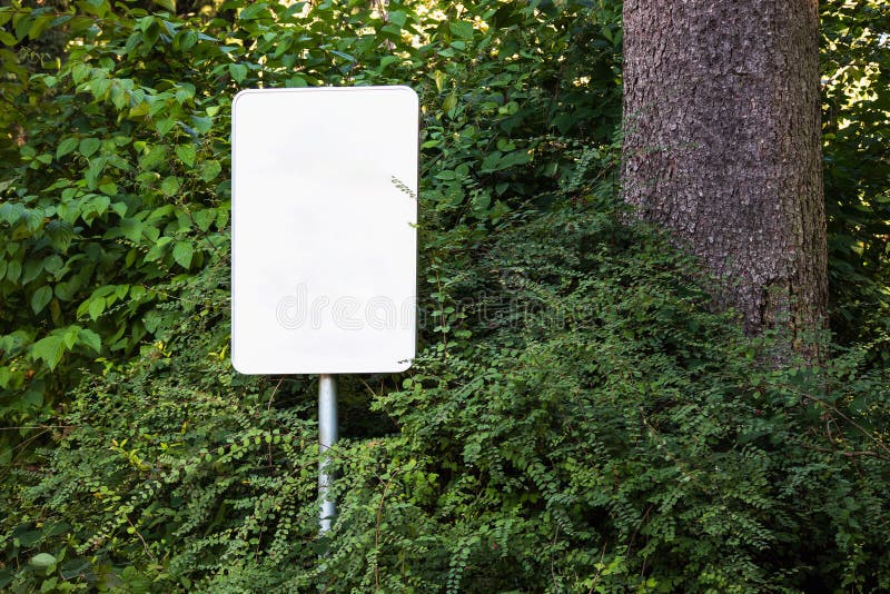 Empty sign in a forest stock image. Image of announcement - 246054113