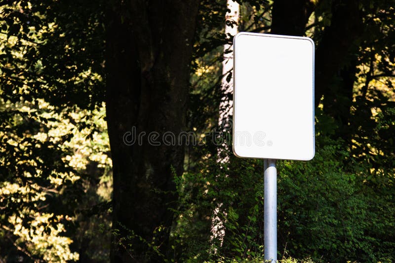Empty sign in a forest stock photo. Image of frame, green - 246054116