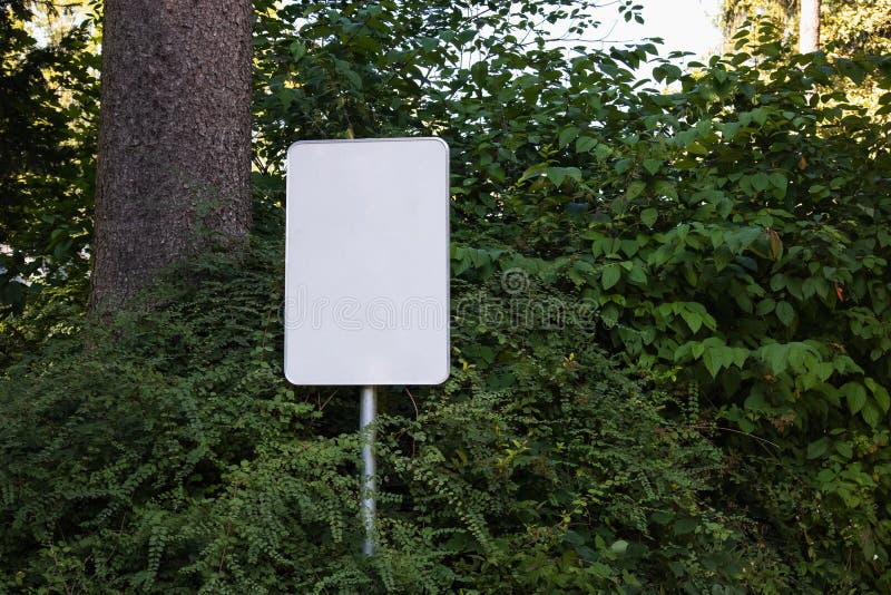 Empty sign in a forest stock image. Image of post, green - 248030019