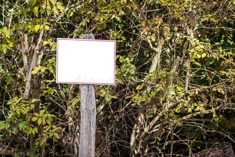 An empty sign post stock photo. Image of copy, frame - 199083518