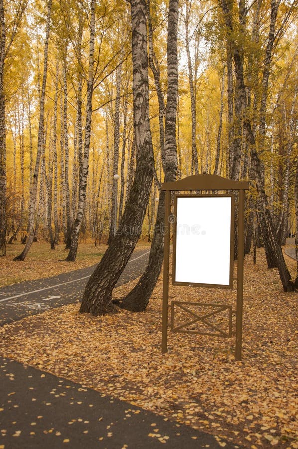 Empty Signs in the Autumn Park. Space for Text Stock Photo - Image of ...