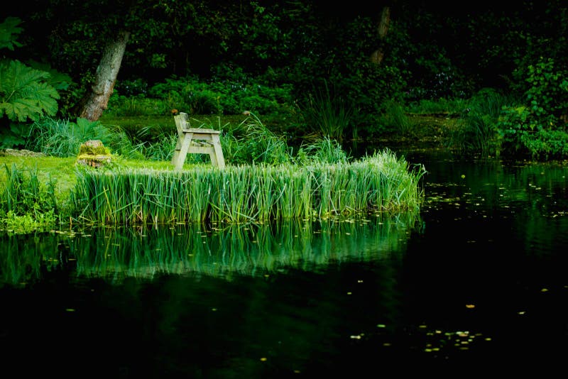 Empty Single Wooden Bench at Lake in Spring Sun Light Stock Image ...