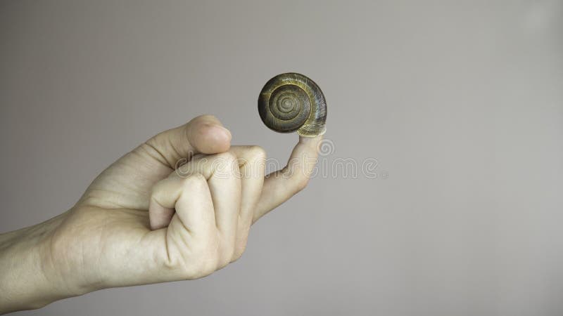An Empty Snail House on a Finger of a Hand Stock Photo - Image of mucus ...