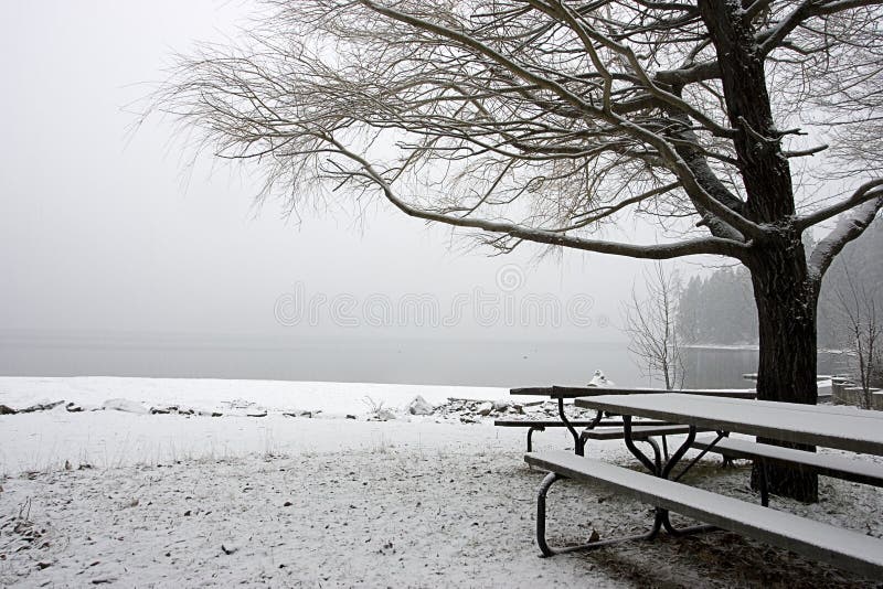 Empty Snow Covered Park in Winter. Stock Photo - Image of picnic ...