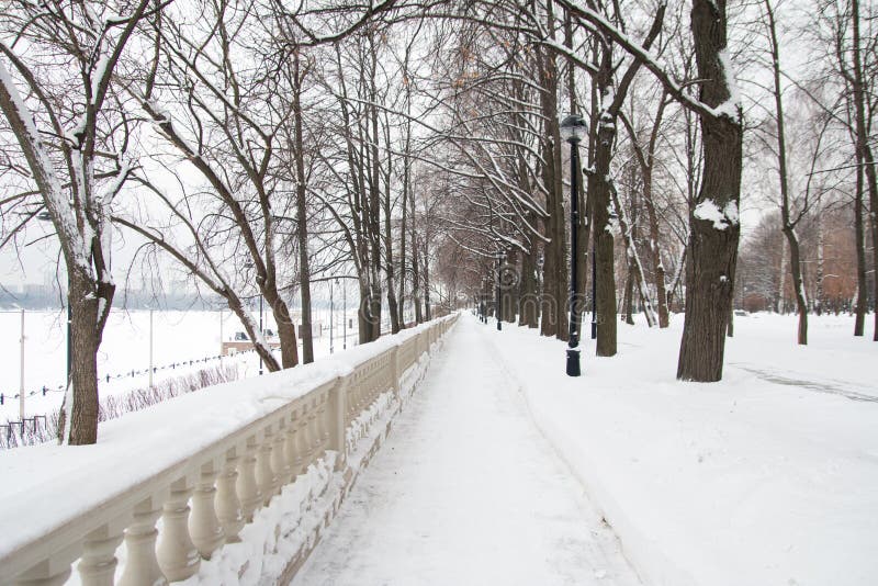 An Empty Snow-covered Road in the Park. Stock Image - Image of road ...