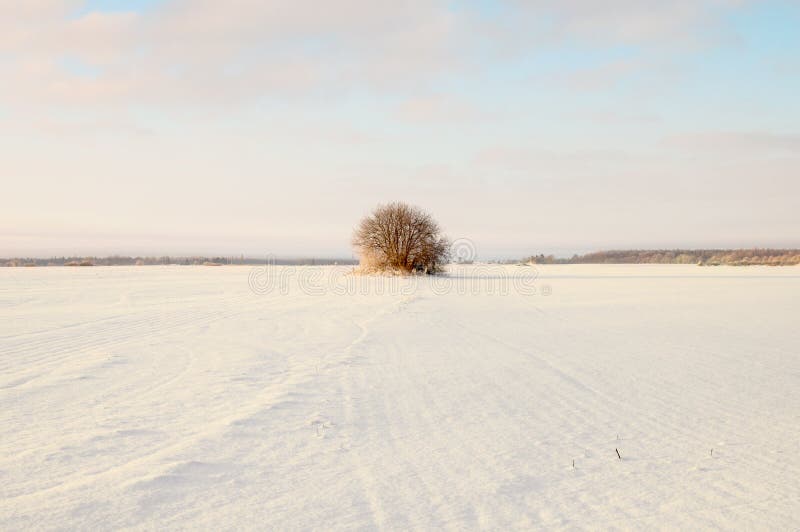 Snow scene stock photo. Image of chilly, pasture, frozen - 40048738