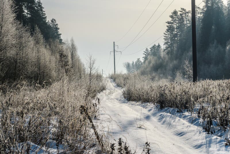 Empty Snow Covered Road in Winter Landscape Stock Photo - Image of ...