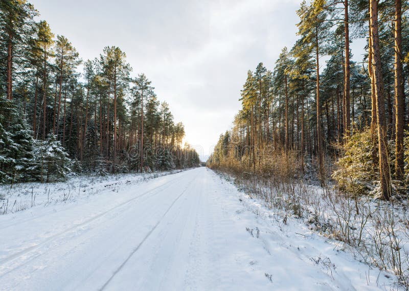 Empty Snow Covered Road in Winter Landscape Stock Image - Image of ...