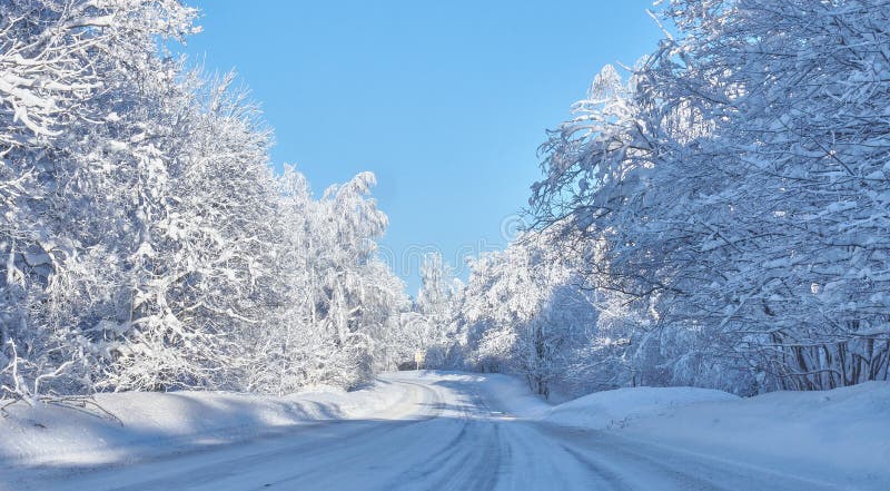 Empty Snow-covered Road In Winter Landscape. Snowy Road In The Forest ...