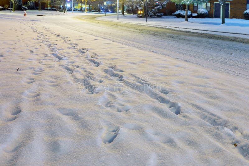 Empty Snow Covered Road in Winter at Night Stock Image - Image of snow ...