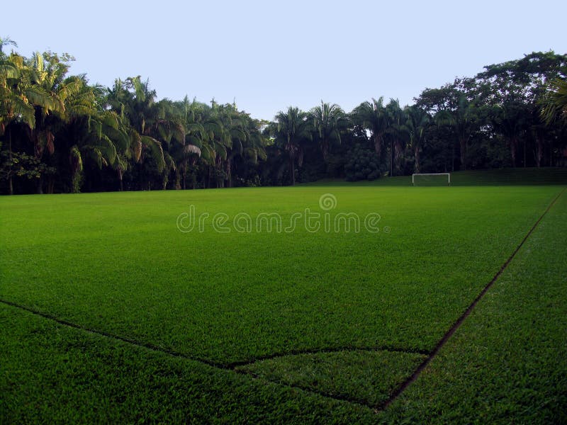 An Empty Soccer Field stock image. Image of freekick, recreation - 192587