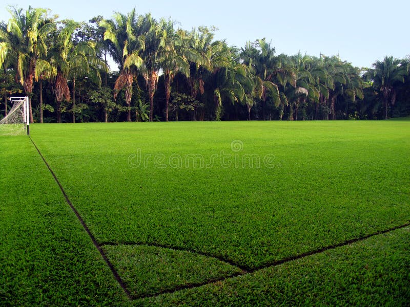 Empty soccer field stock photo. Image of game, competition - 192588