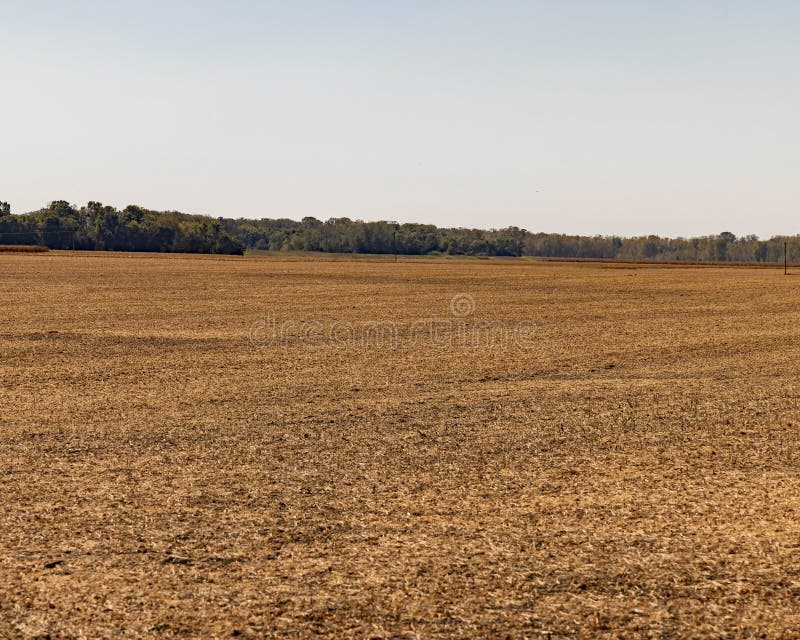 Empty Soybean Field after the Harvest Stock Photo - Image of empty ...
