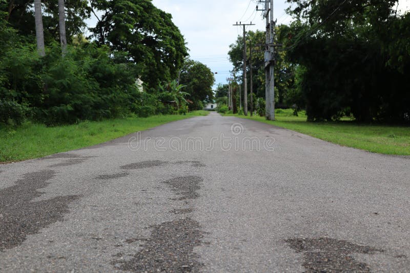 Empty Space Clean Cement Road with Trees on Both Sides Rural Road Stock ...