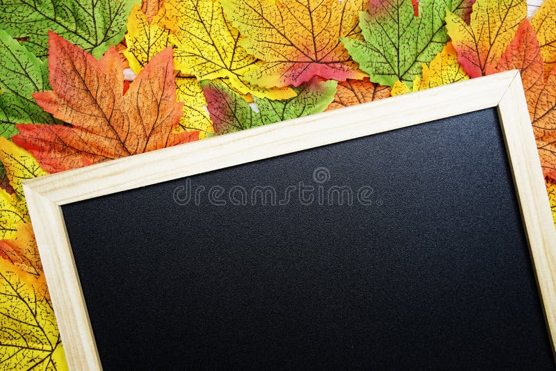 Empty Space for Copy with Maple Leaves Border Frame on Wooden ...