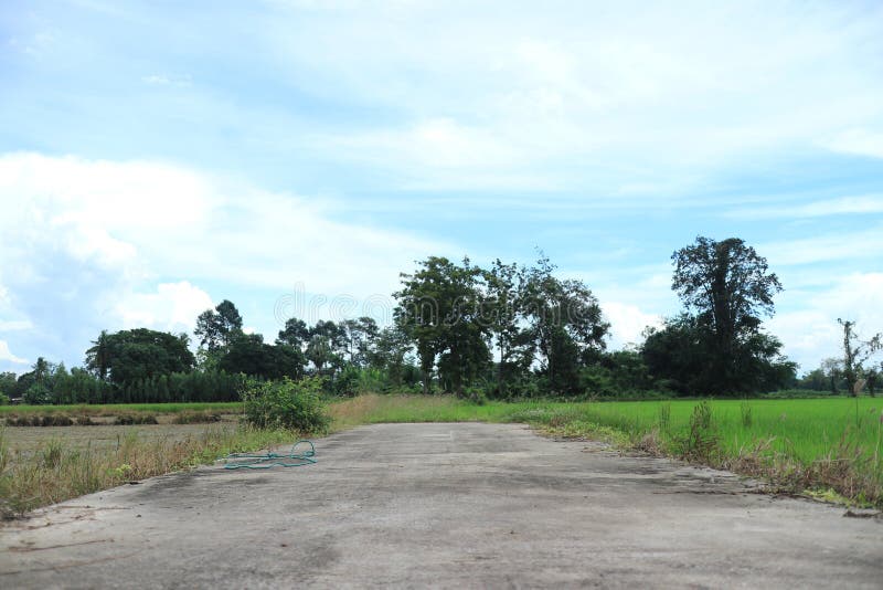 Empty Space Landscape Rural Road Cement Forest and Field Background ...