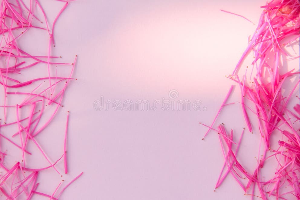 Empty Space for Writing on Pink Paper Sprinkled with Beautiful Red ...