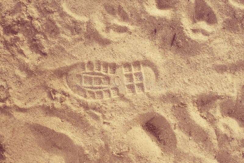 Empty space sandy beach. stock photo. Image of exterior - 107603806