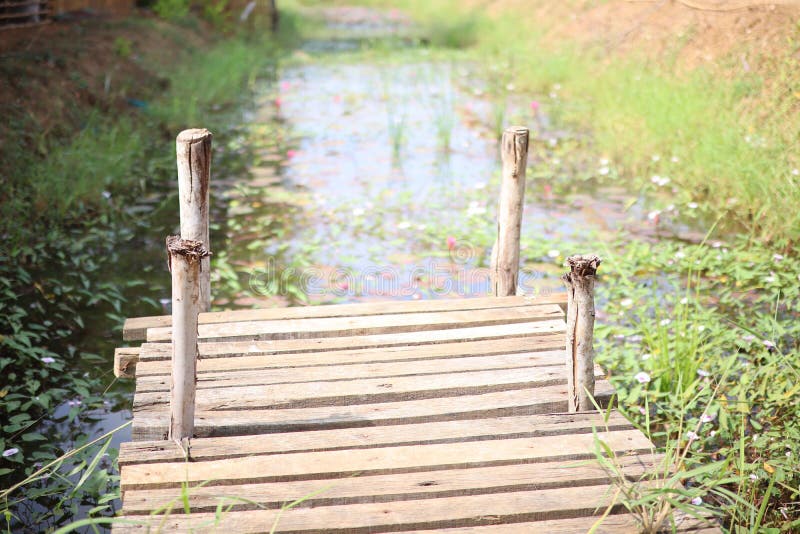 Empty Space, Wooden Walkway Porch Natural Background Stock Image ...