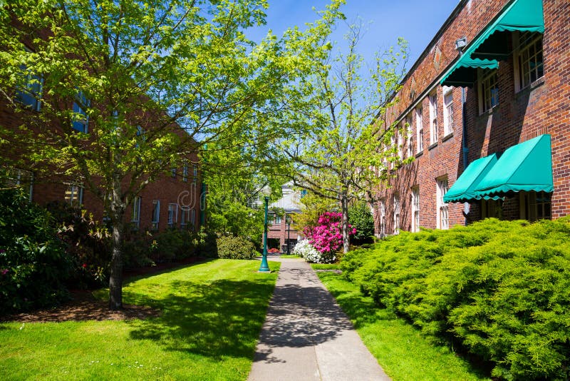 Empty Spring Walkway University of Oregon Stock Photo - Image of public ...
