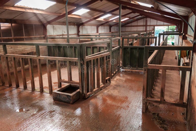 Empty Stable stock photo. Image of interior, inside, indoor - 33513028