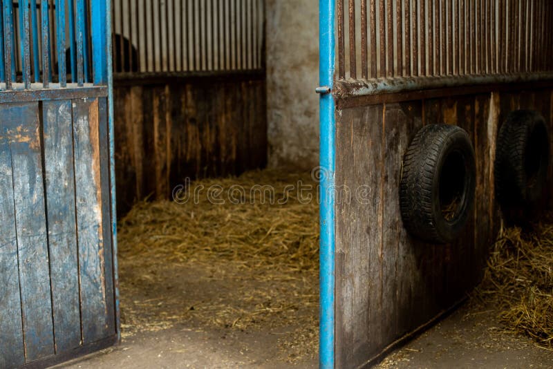 Empty Stall in the Stable with Hay Closeup Stock Photo - Image of ...