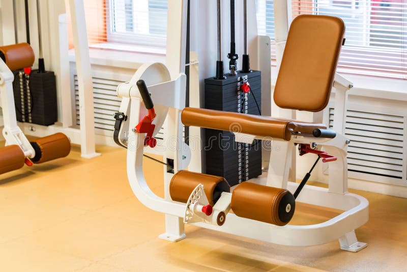 Empty Standing Leg Curve Exercise Machine in Modern Gym Stock Image ...