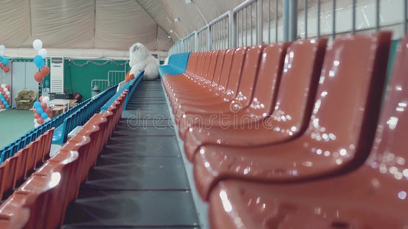 Empty Stands of a Modern Concert Hall. a Deserted Auditorium of a ...